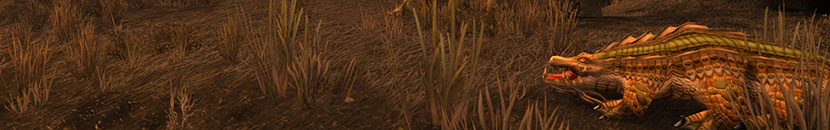 WoW Schweres Leder farmen - Farm Guide für World of Warcraft