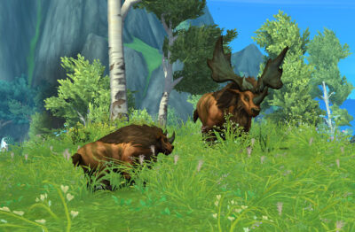 Dichter Balg farmen - Dragonflight Farmguide - goldgoblin.net