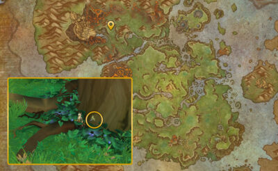 Dragonflight Lederverarbeitung 1-100 | WoW Berufe Guide - goldgoblin.net